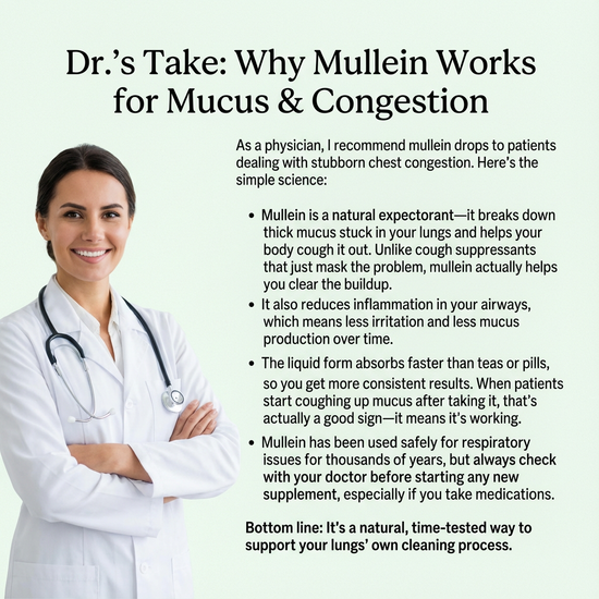 Pure Mullein Extract Drops - Lung Detox Formula – NutraPure